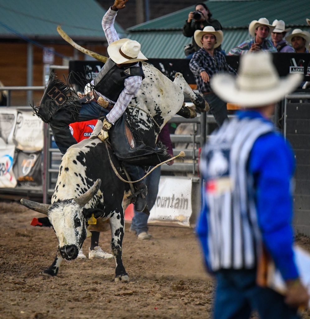 Garfield County Fair offers a full weekend for the family ...